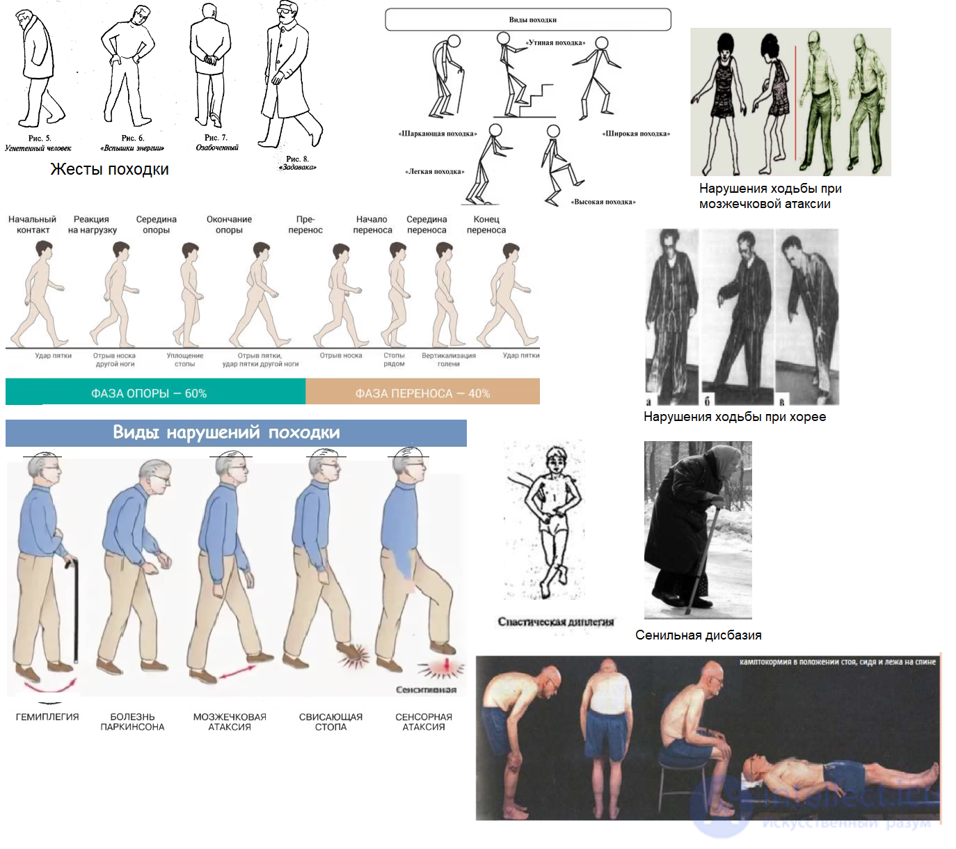 7. Formation of the kinetic image through